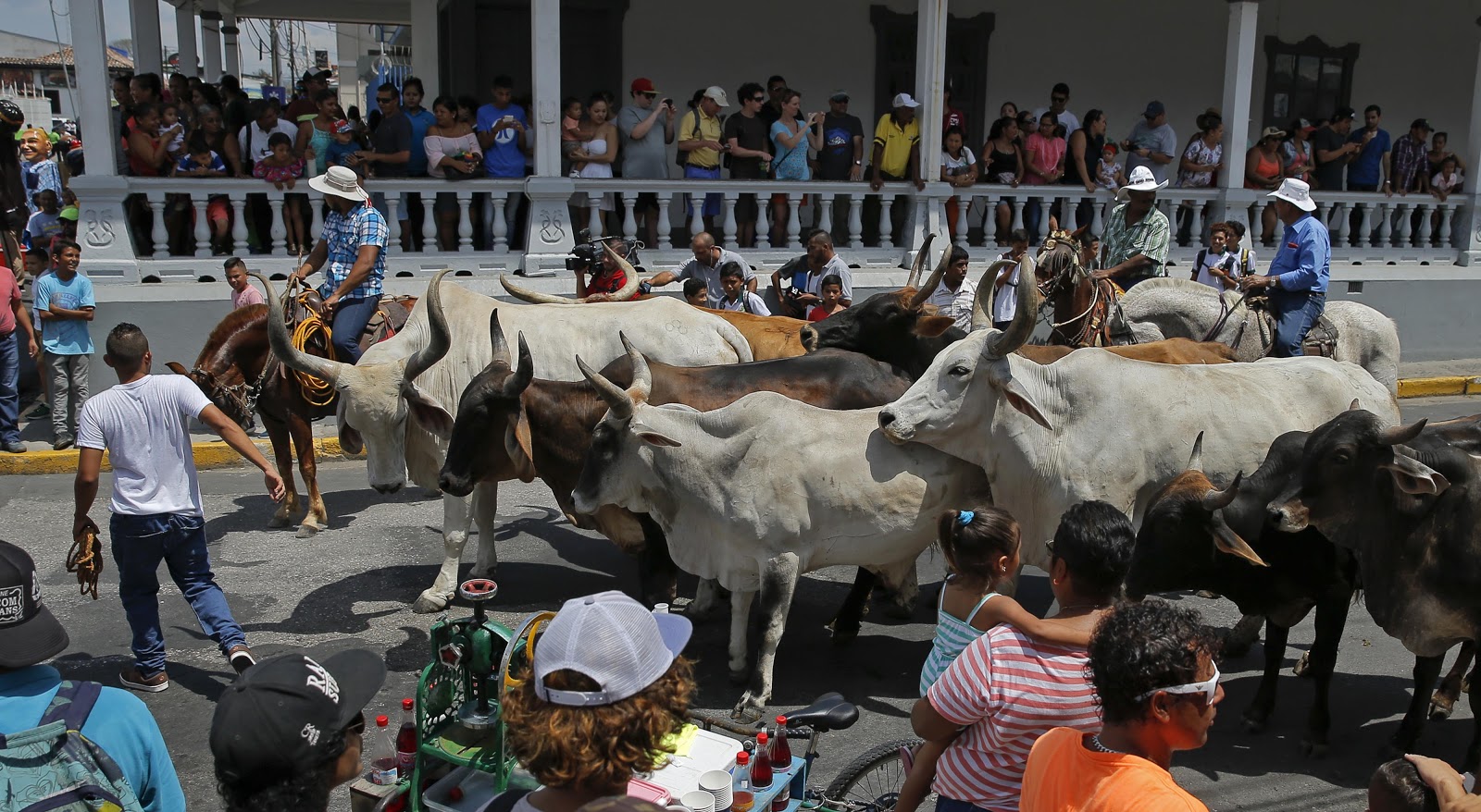 Las Fiestas Patronales (A Costa Rica Rodeo), a Guanacaste Summer Tradition