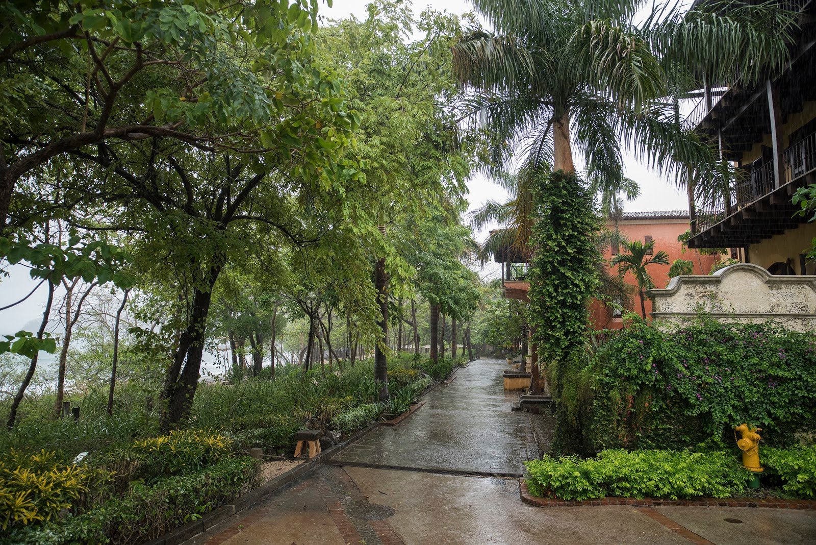 Rainy Season in Costa Rica | A Costa Rican Snow Day