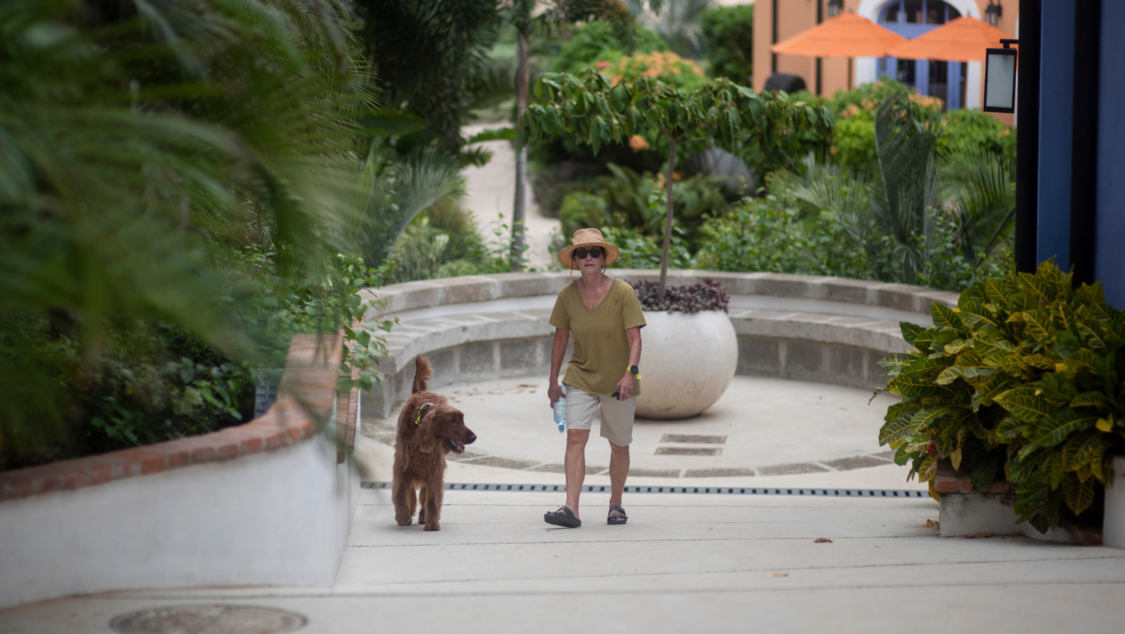 The Future of Car-Free Towns and Cities